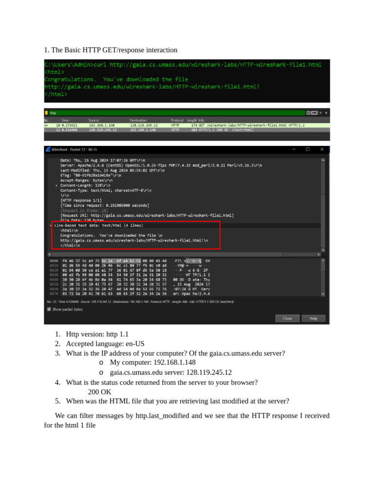 Wireshark HTTP | PDF