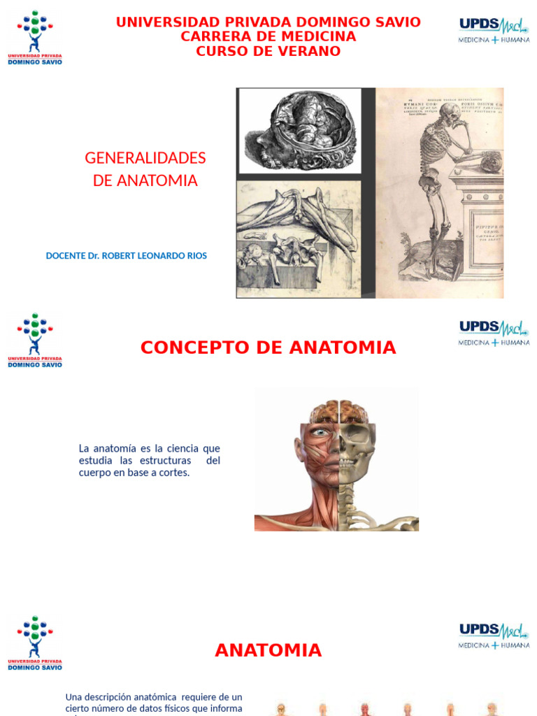Introduccion Anatomia 2024 Upds | PDF