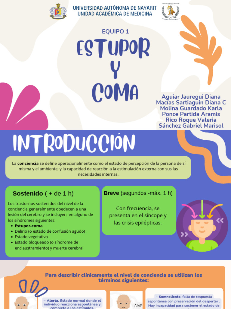 Coma y Estupor | PDF | Cerebro | Coma