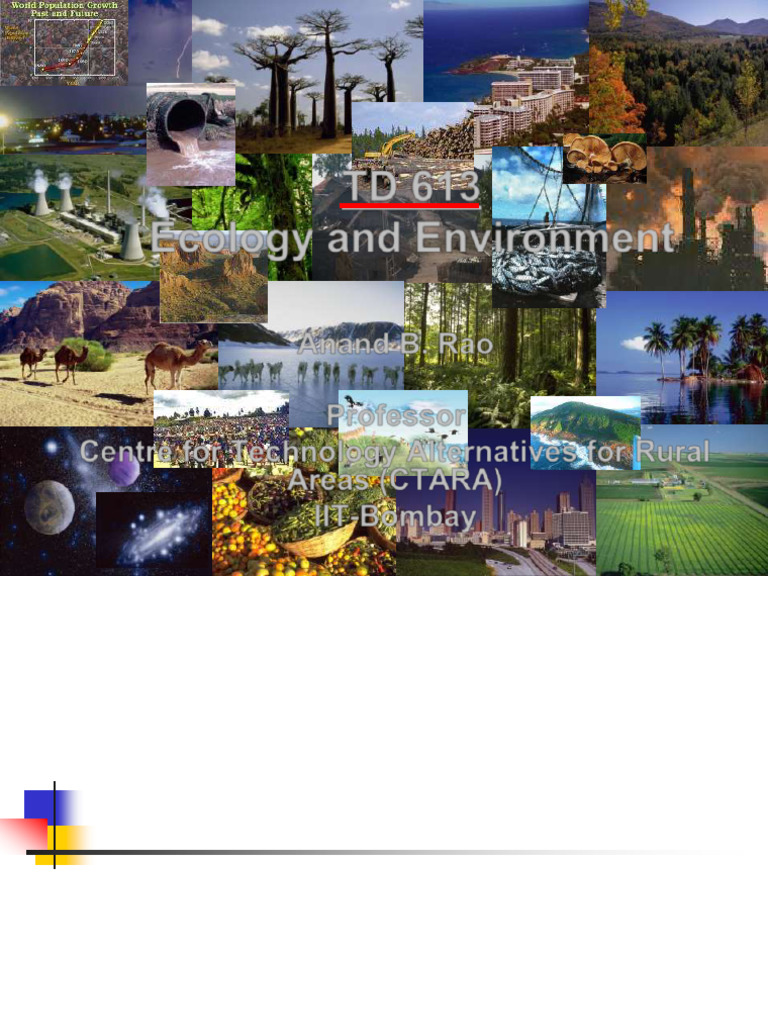 TD613 2024 wk2 | PDF