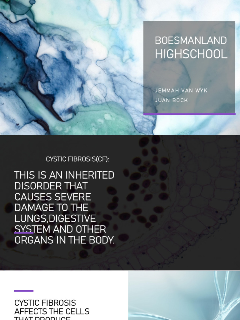 Expo Presentation | PDF