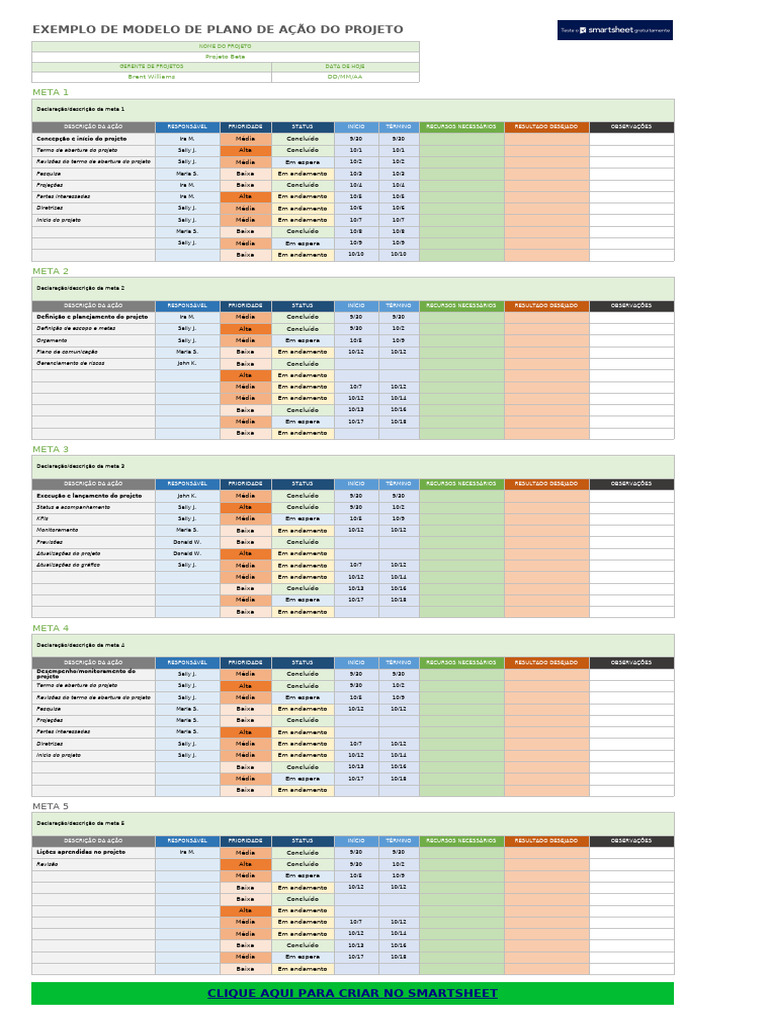 IC-Project-Action-Plan-Example-8595_PT | PDF