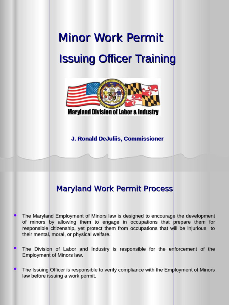 Issuing Officer Training | PDF