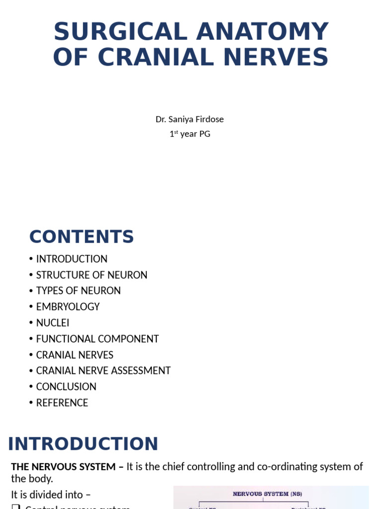 Surgical Anatomy of Cranial Nerves | PDF