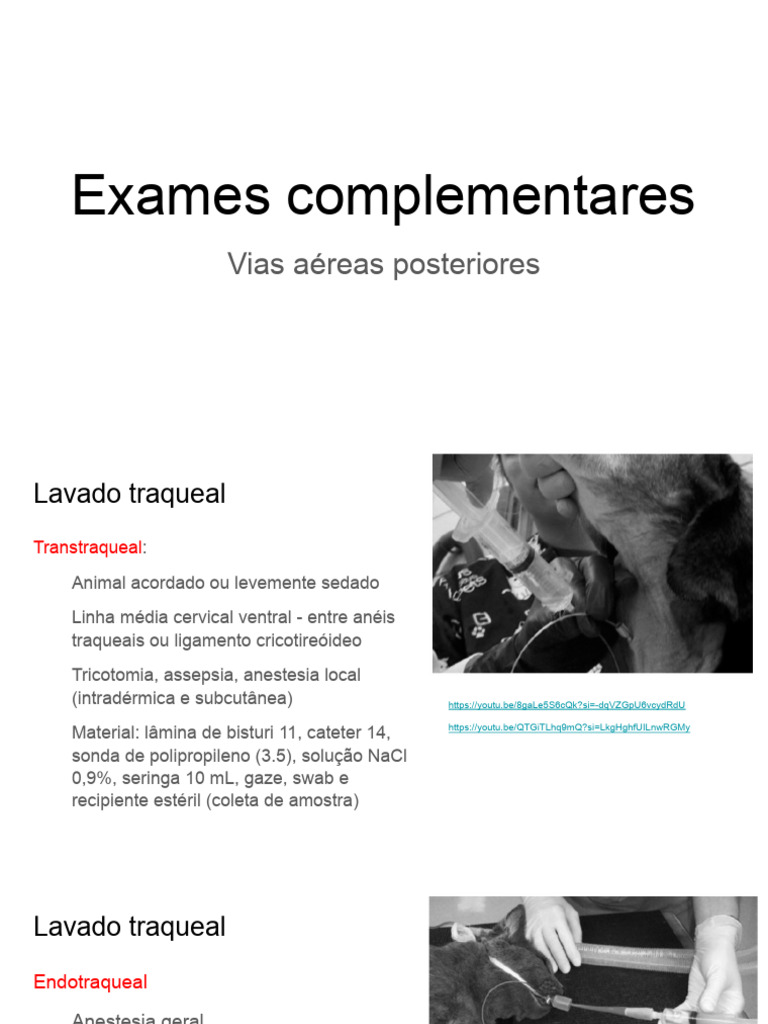 Aula 15 - Exames complementares - Vias aéreas posteriores 2 | PDF
