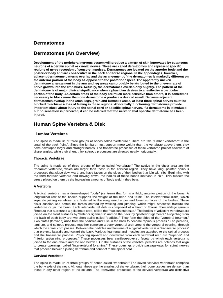 Dermatomes | PDF
