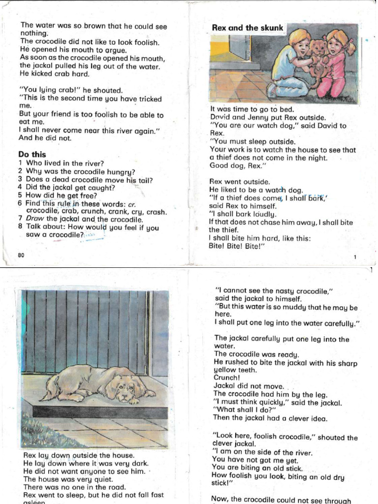 Sunrise Book 13 A New Girl-1 | PDF