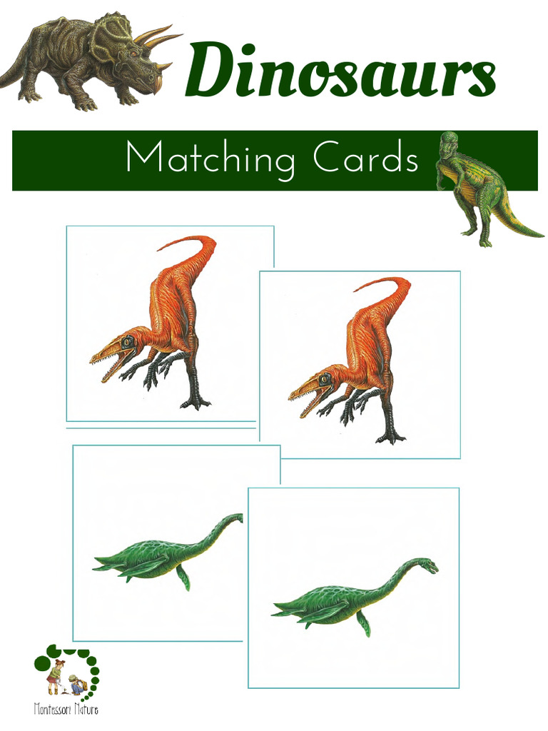 Dinosaur Match Up Montessori Nature Freebie | PDF