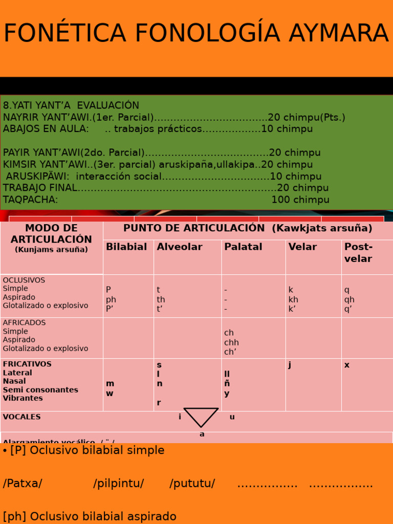 Diapositivas de Fonética y Fonología Tema 1 | PDF