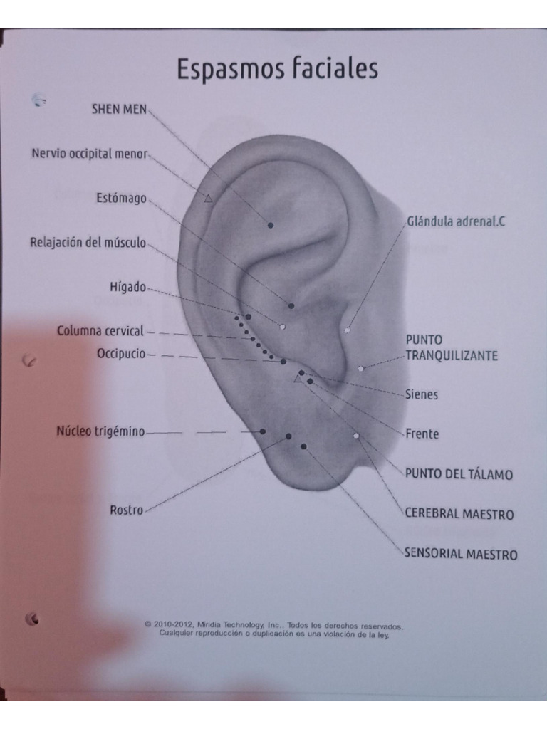 Auriculoterapia Puntos Espasmos Faciales | PDF