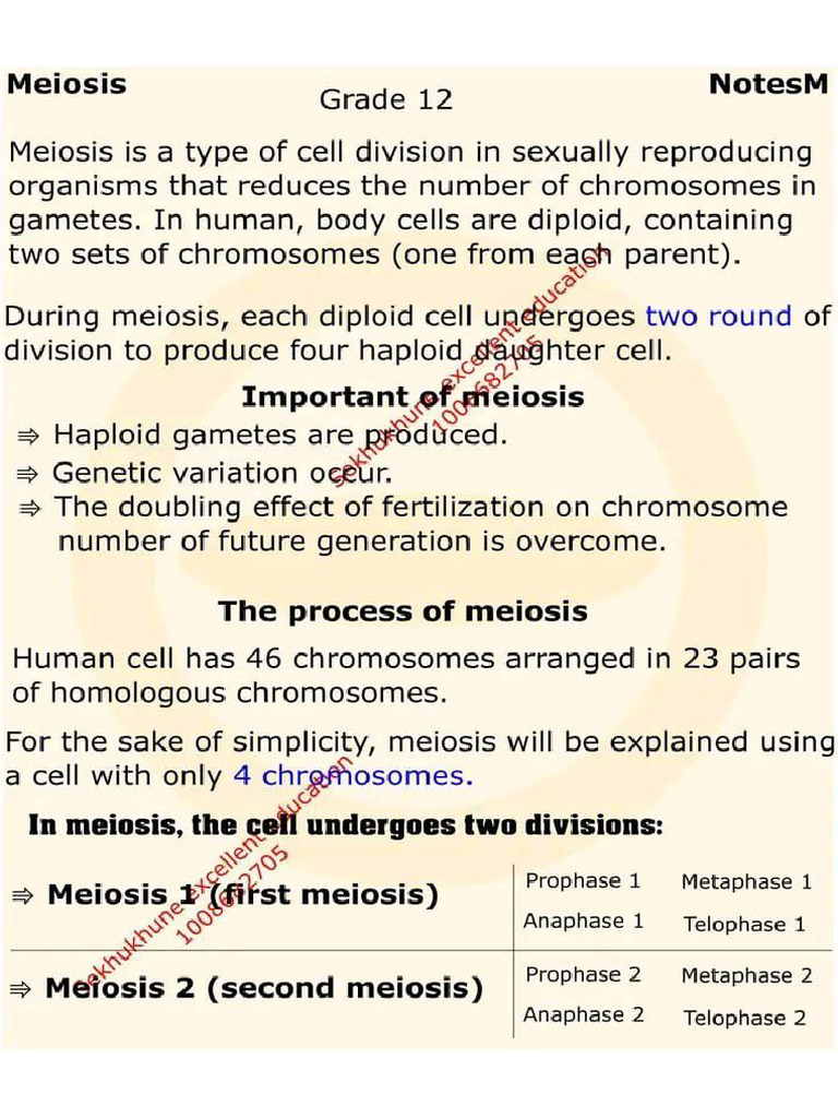 Life Sciences Notes | PDF