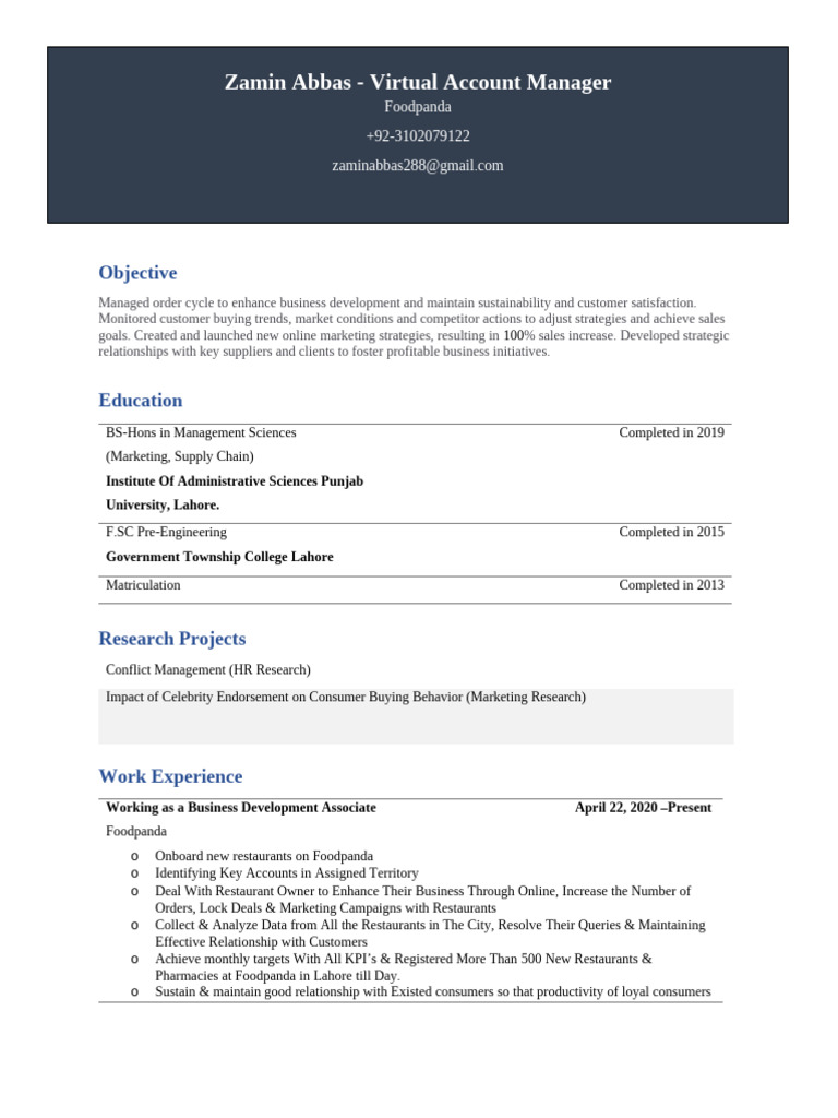 cv3 Zamin Abbas | PDF