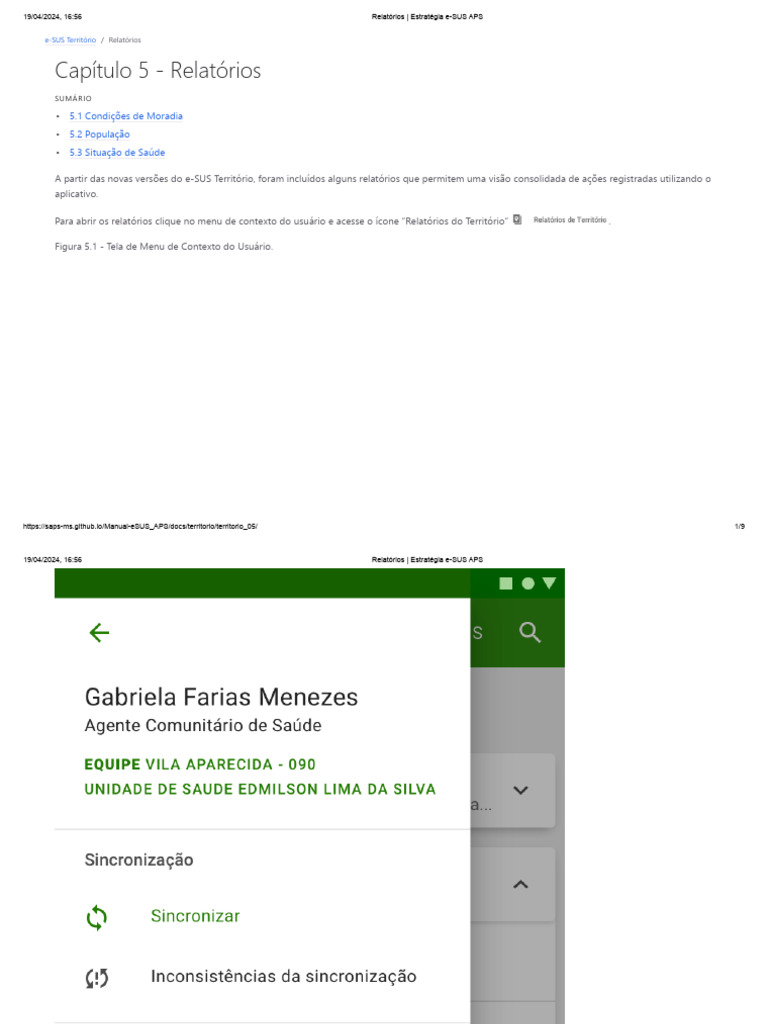 Esusterritorio Manual Cap5 Relatorios | PDF
