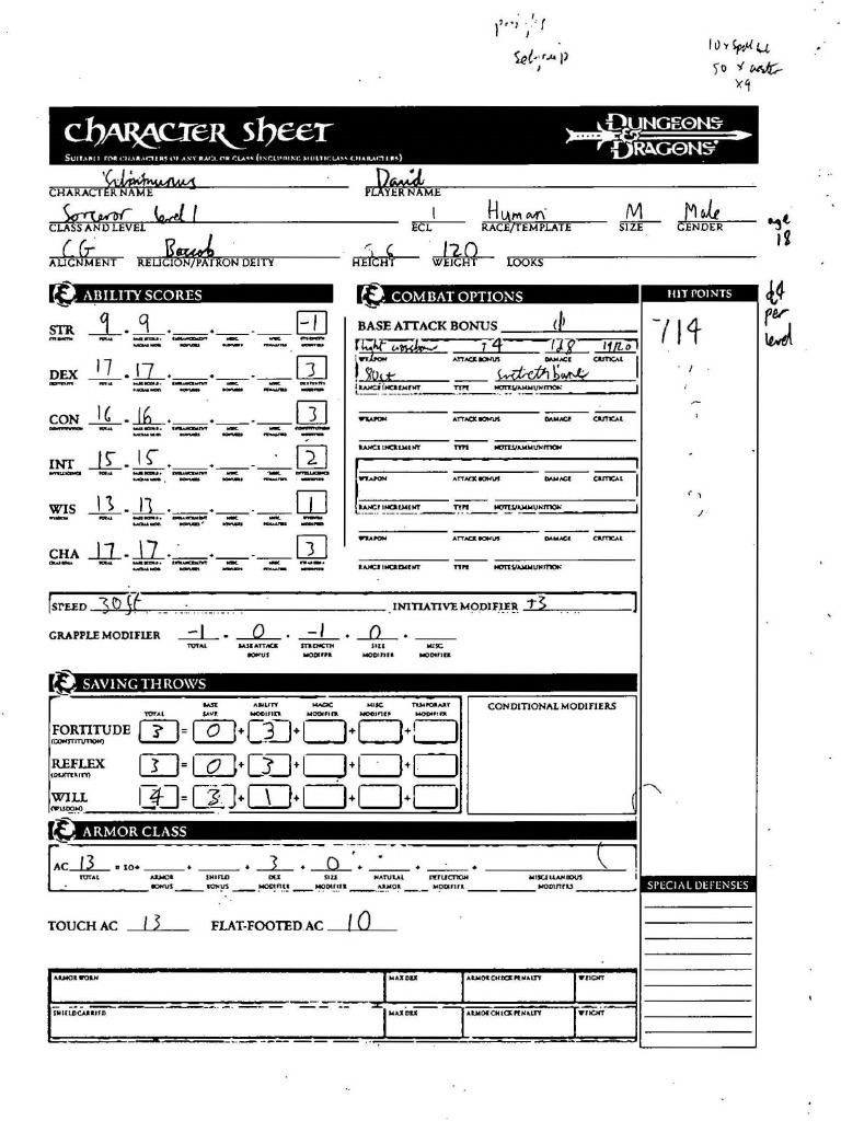 Character Sheet for RPG Gameplay | PDF | Clothing | Softlines (Retail)