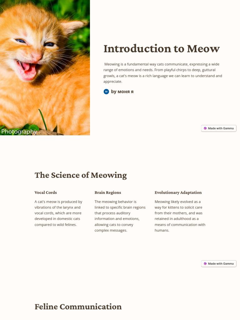 Introduction To Meow | PDF