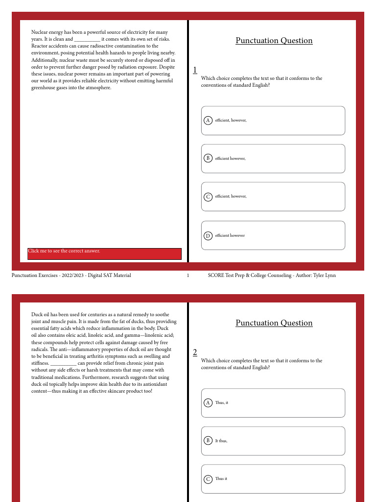 Punctuation Questions (Set 9) | PDF