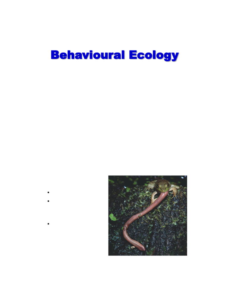 Chapter 7 Evolution of feeding behaviour _ all slides visible_2 | PDF