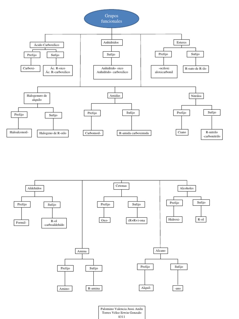 Grupos Funcionales (Mapa Conceptual) | PDF