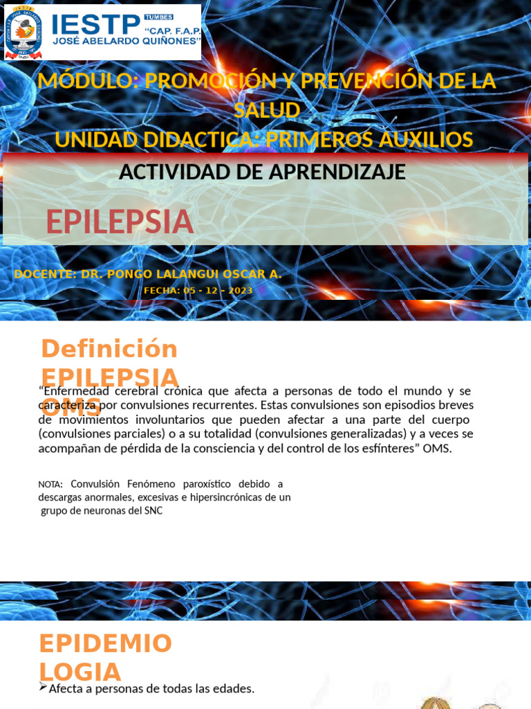 Sesion Xvii Epilepsia | PDF