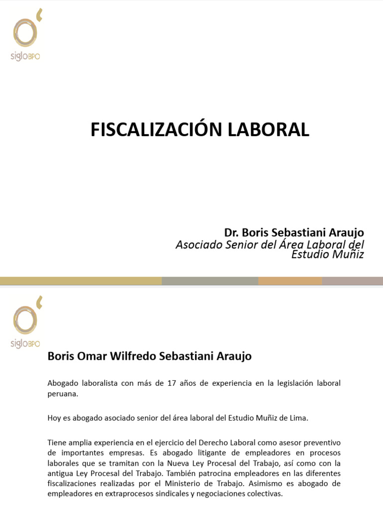 Como Afrontar Adecuadamente Una Inspeccion Laboral | PDF