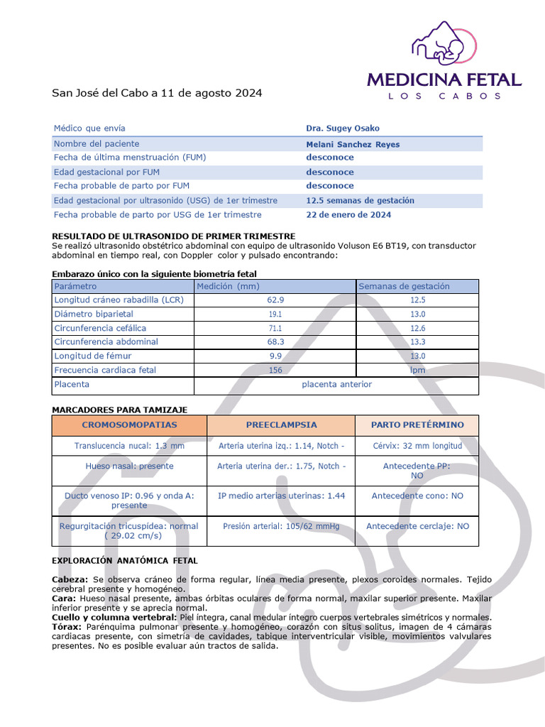 Melani Sanchez Medicina Fetal | PDF