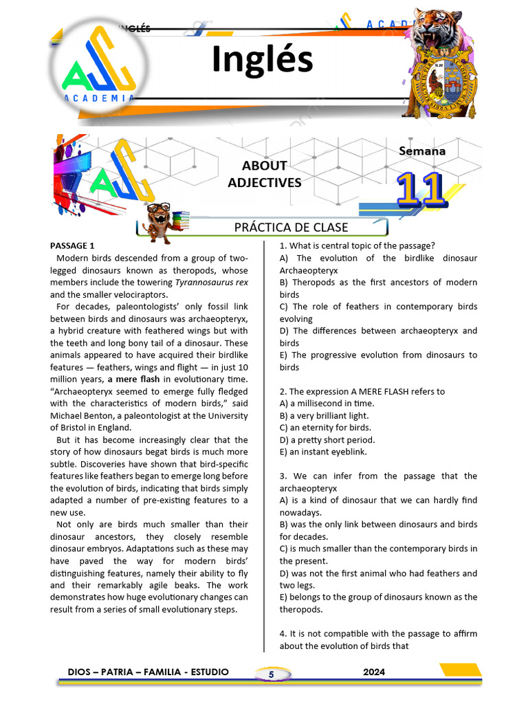 About Adjectives (Lesson) | PDF