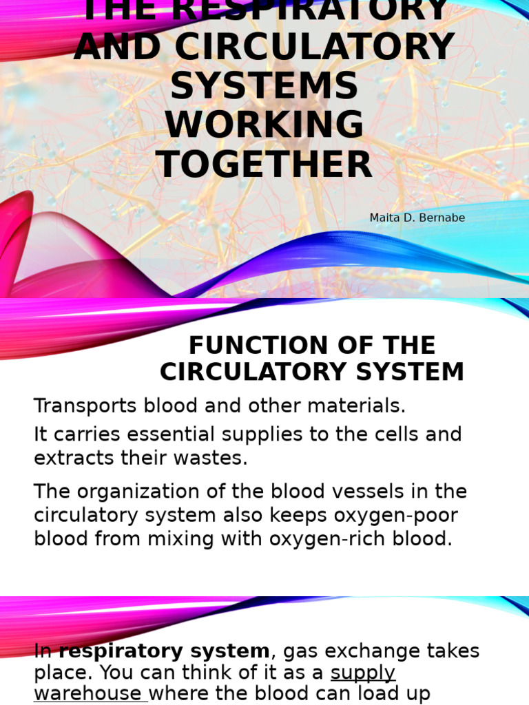 The Respiratory and Circulatory Systems Working Together | PDF ...