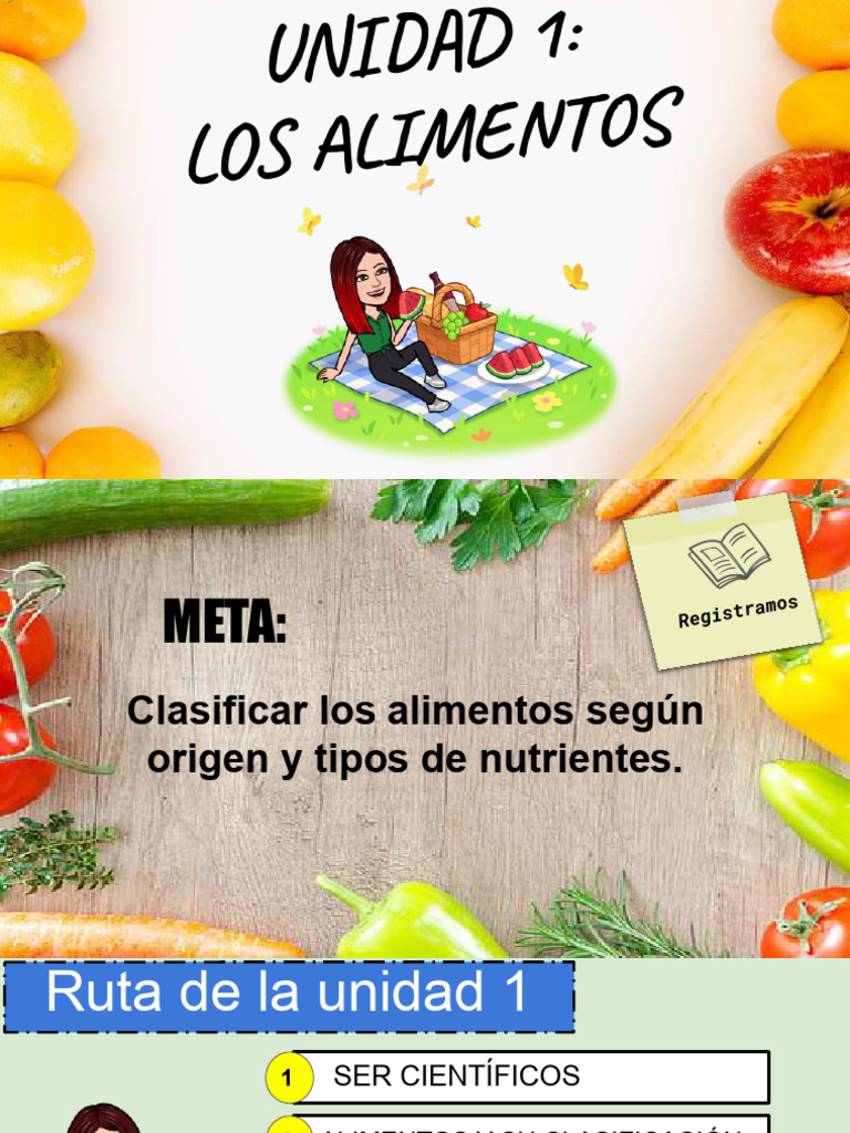 01_-Alimentos_Tercero-_2024 | PDF