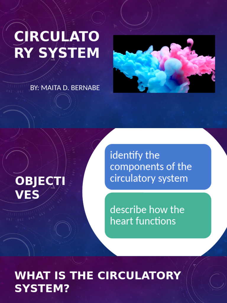 Circulatory System Basics | PDF | Heart | Atrium (Heart)