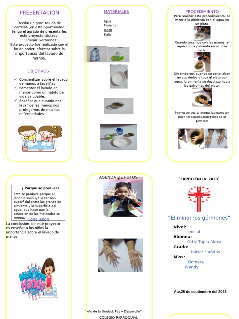 Triptico Alexa | PDF