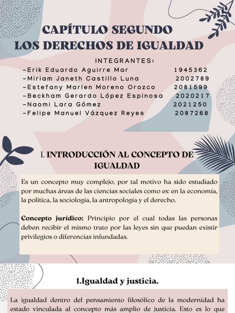 Capitulo 2 Los Derechos de Igualdad Presentacion | PDF