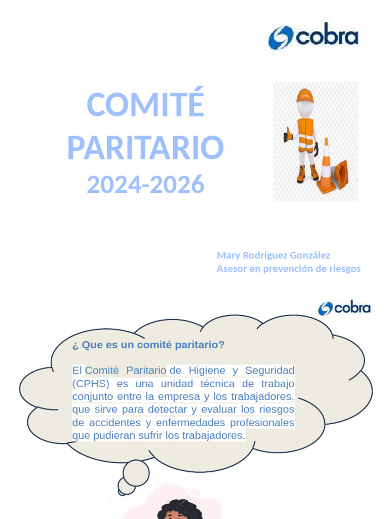Comite Paritario | PDF