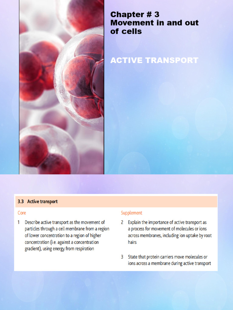 Active Transport | PDF