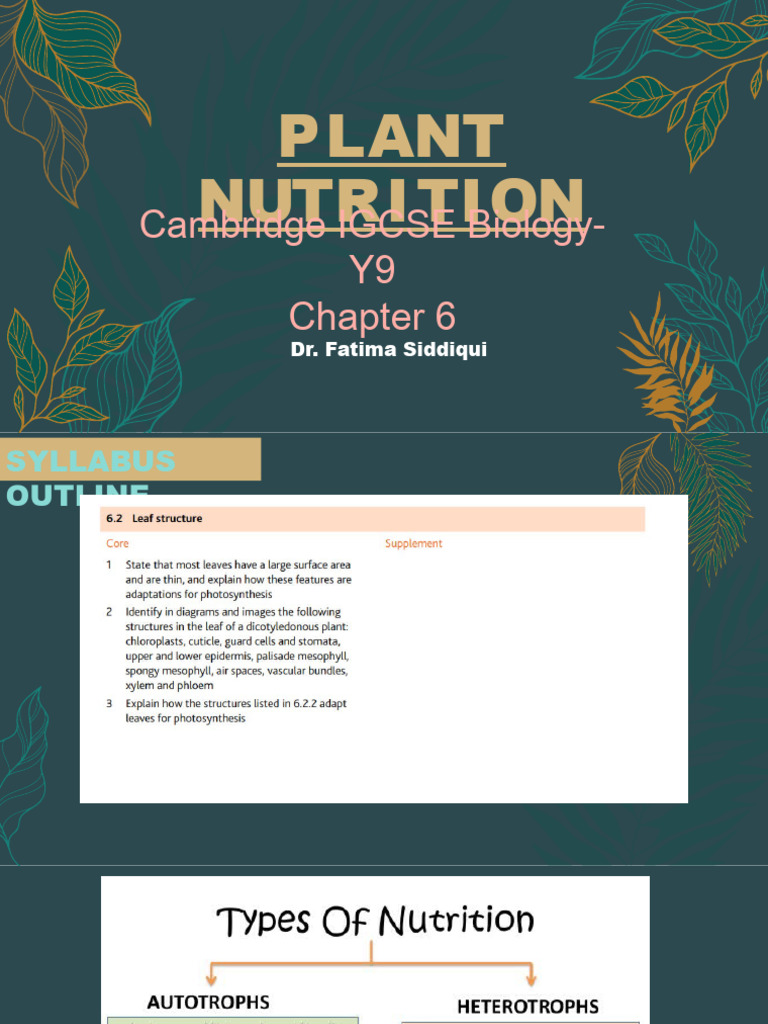 Chap 6 Plant Nutrition Part 1 | PDF | Stoma | Photosynthesis