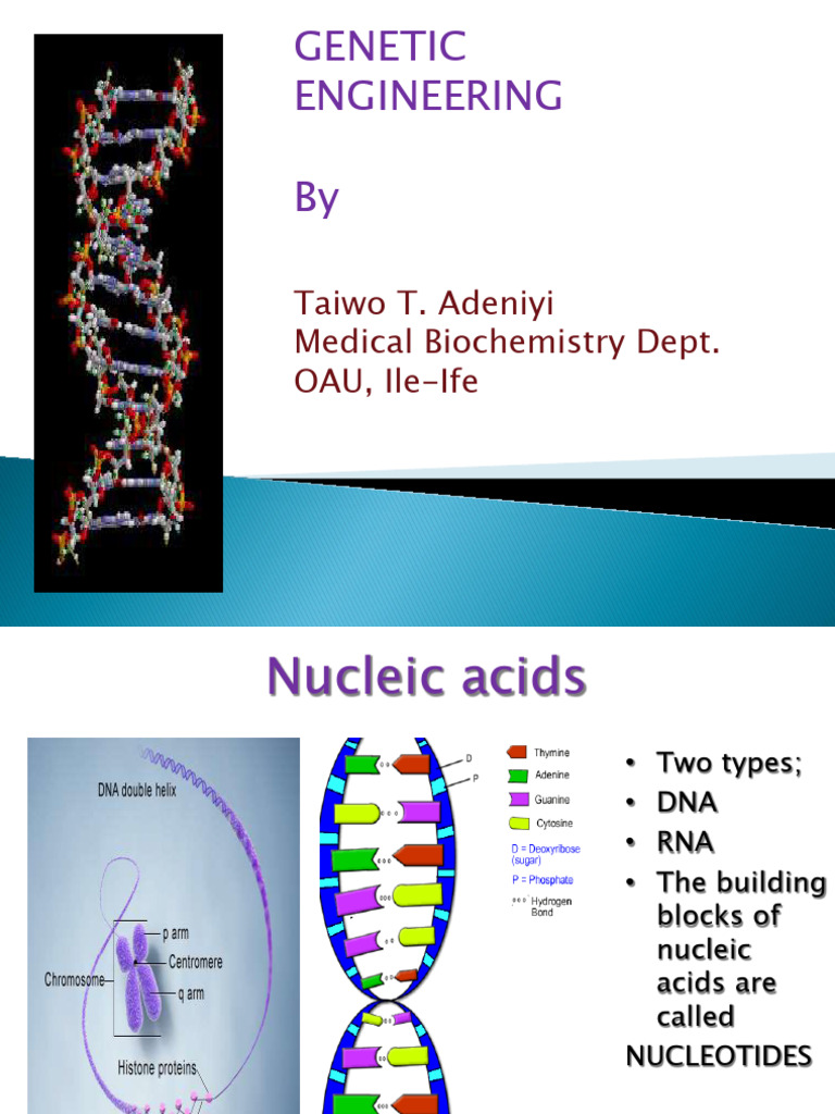 Genetic Engineering | PDF
