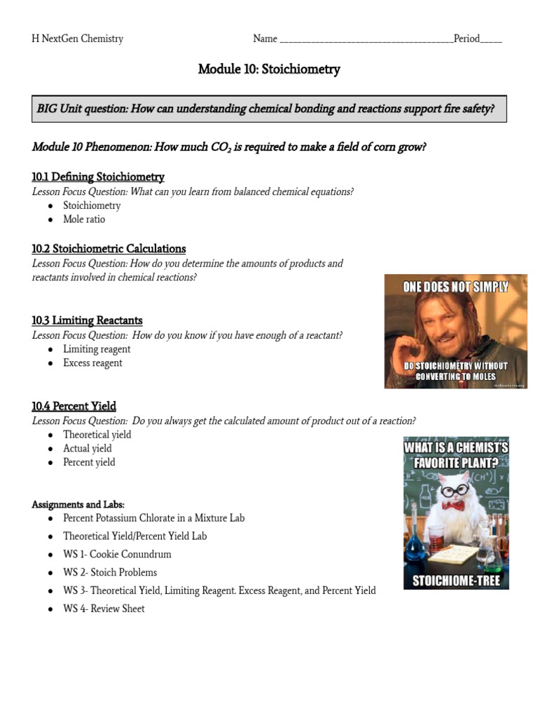 23-24 HNGC Module 10 Packet | PDF