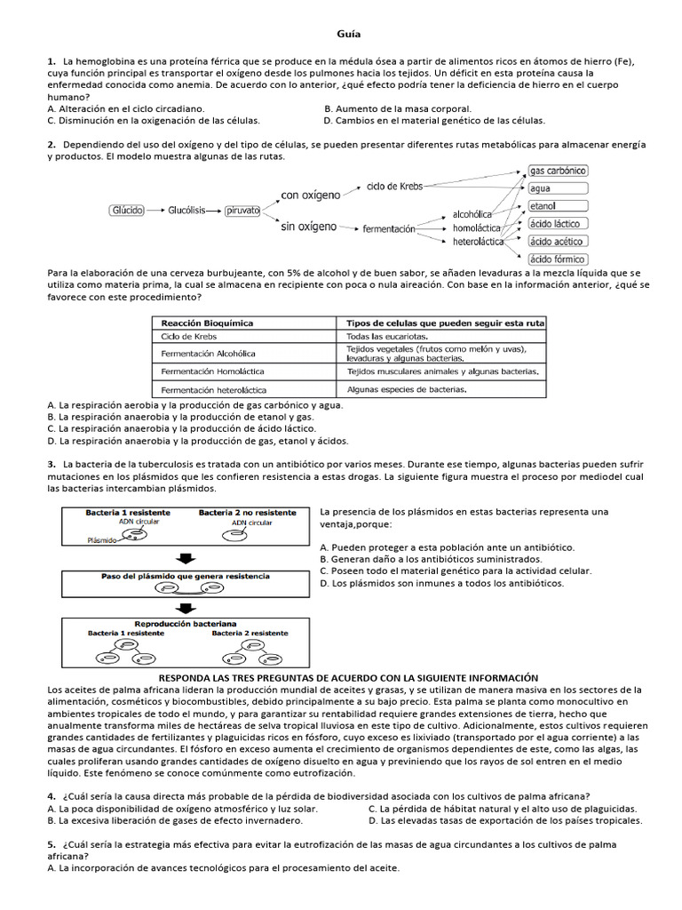 Guia Final Icfes 11 | PDF
