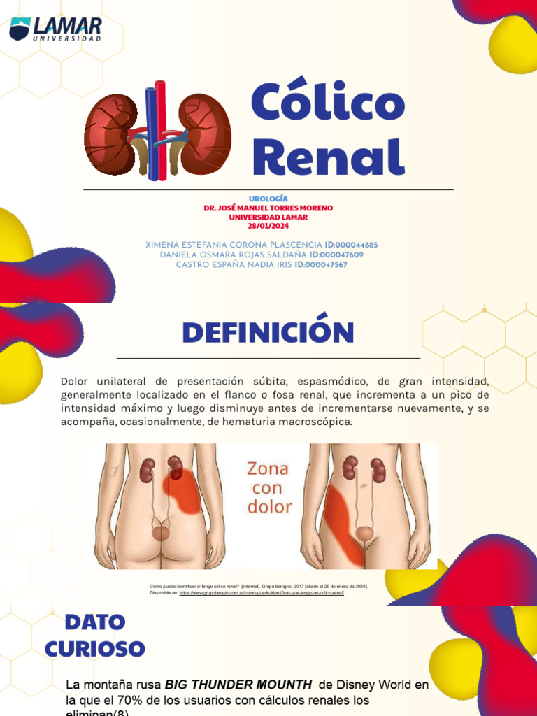Cólico Renal: Diagnóstico e Tratamento | PDF