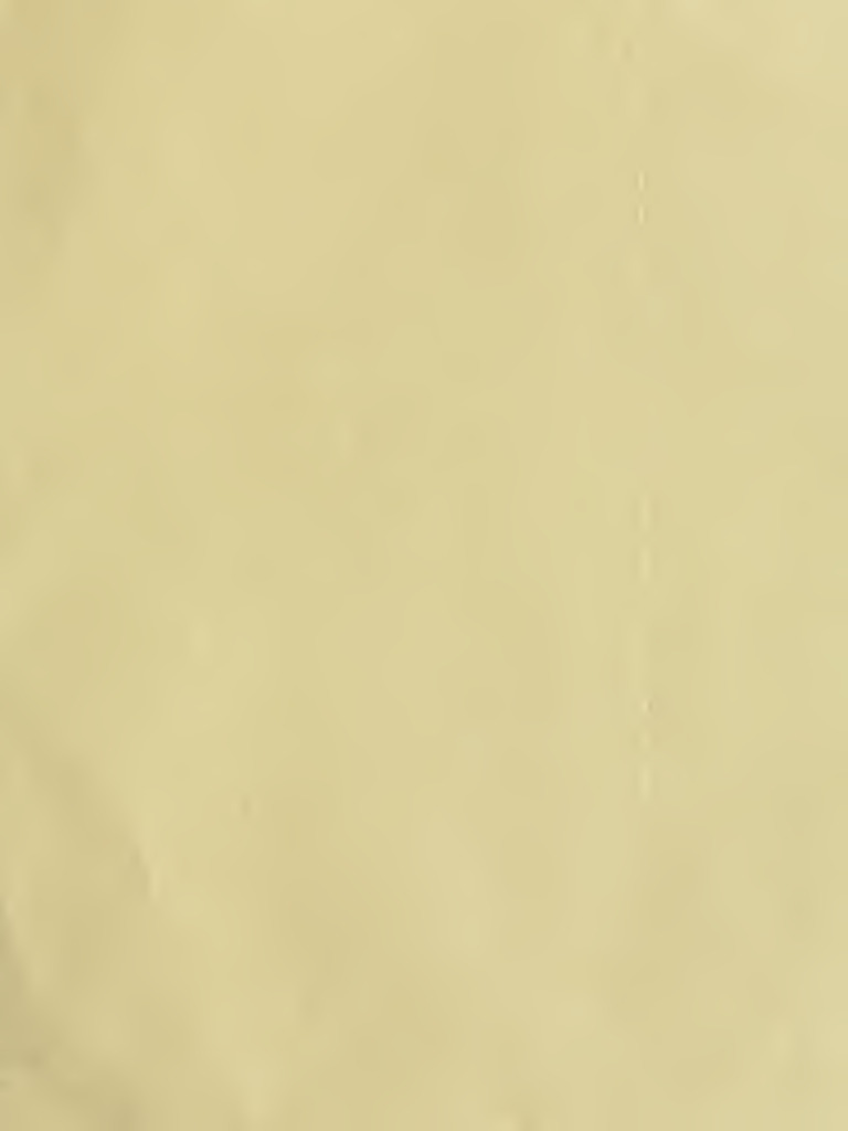 Texas Boundary | PDF