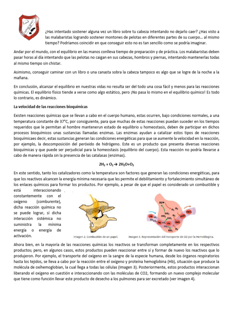 Equilibrio Interno Guía 4 | PDF