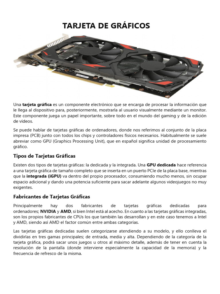 Trabajo Final Informatica | PDF