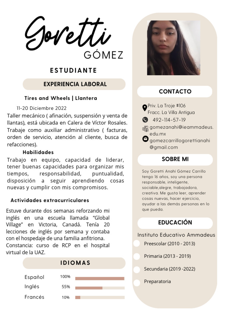 Curriculum Vitae CV Profesional Beige | PDF
