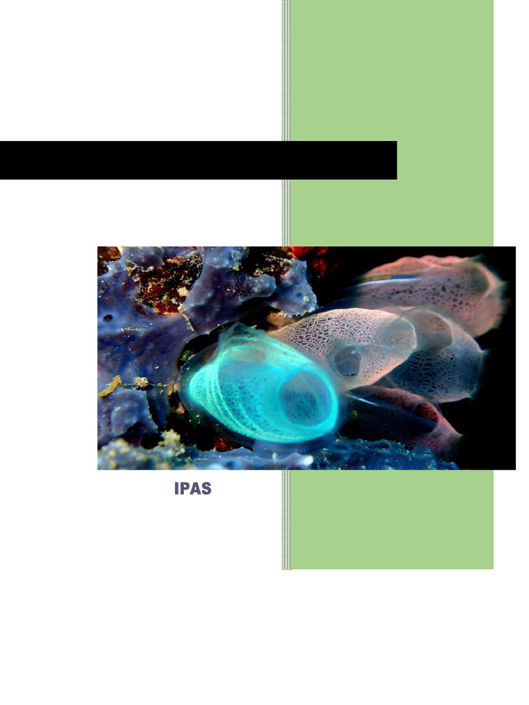 Modul Ajar IPAS 7 Aspek MH | PDF