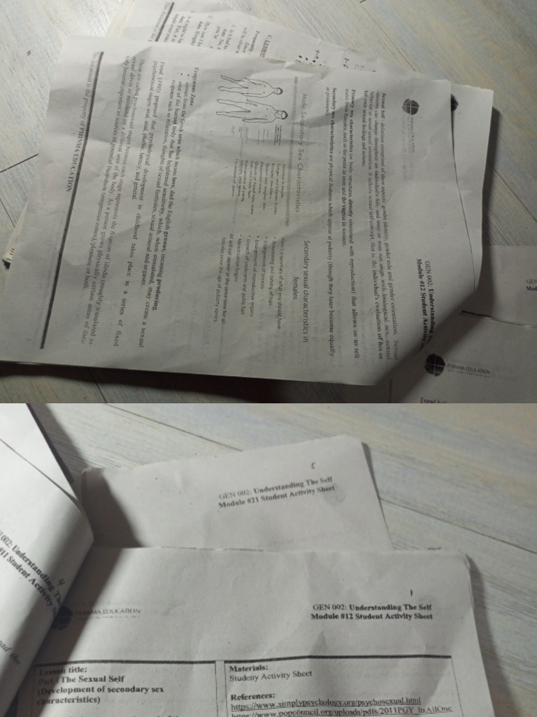 Institutional Correction | PDF