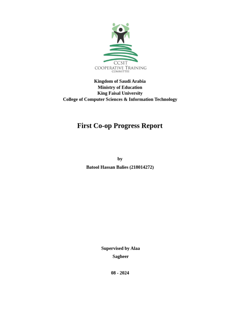 First Report-Batool Hassan Balies To PDF | PDF | Microsoft Excel | Software