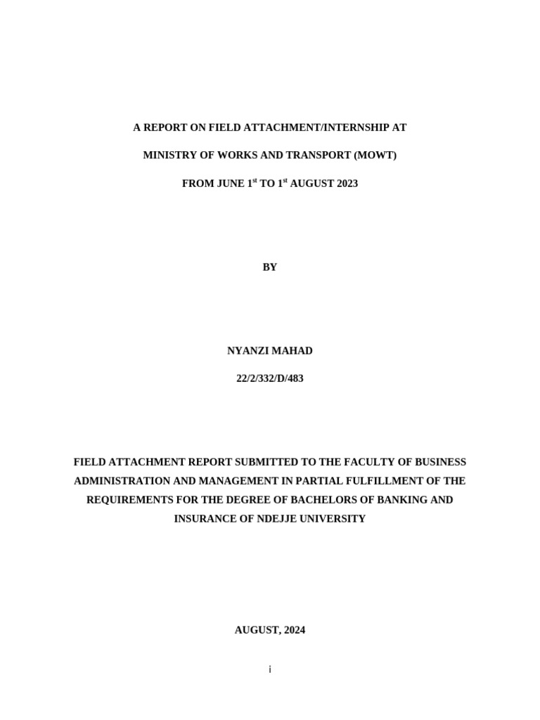 Nyanzi Internship Report | PDF | Debits And Credits | Balance Sheet