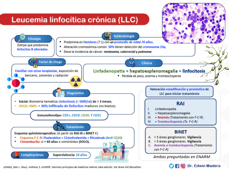Leucemia Linfocítica Crónica (LLC) | PDF