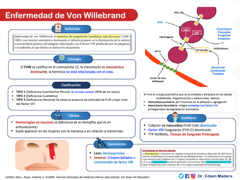 Enfermedad de Von Willebrand | PDF | Hematología | Proteínas de la sangre