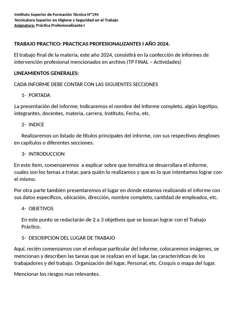 Trabajo Practico - Consignas - 2024 | PDF