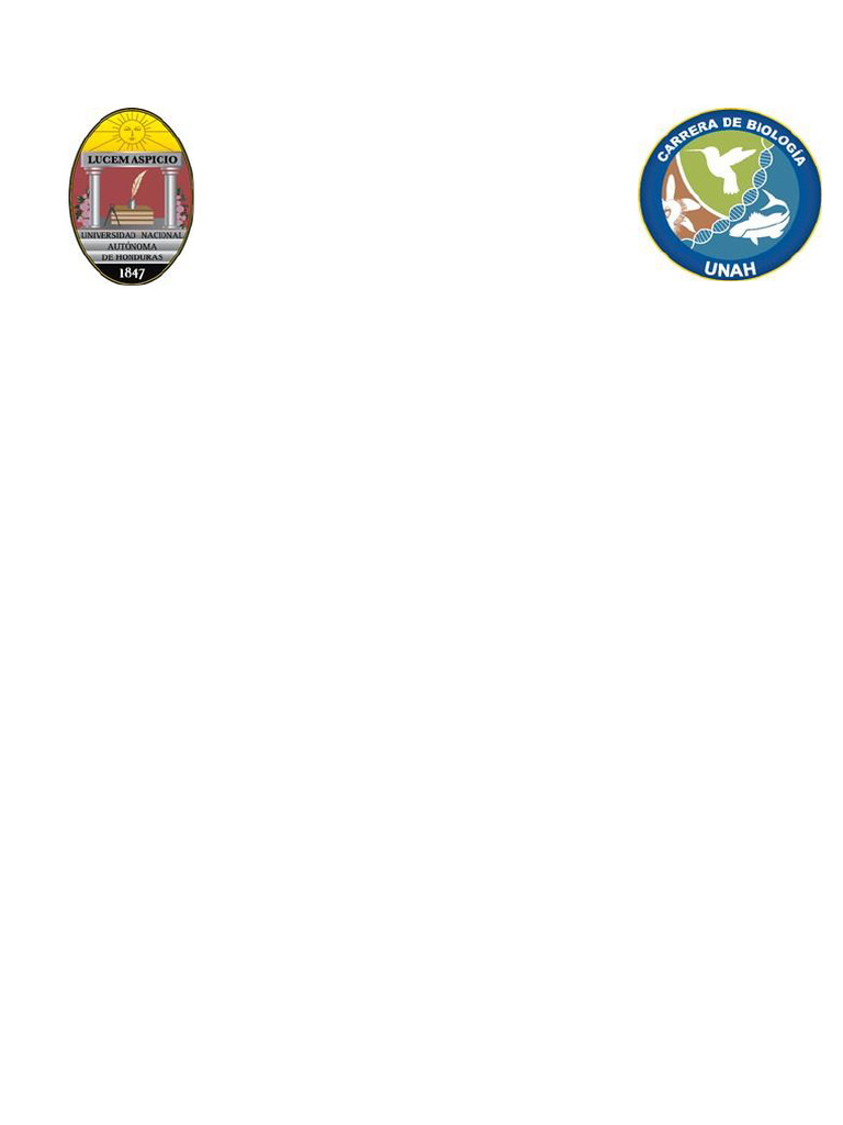 Traea 3, Infografía | PDF